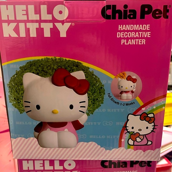 Hello Kitty | Accents | New Hello Kitty Chia Pet Decorative Planter ...